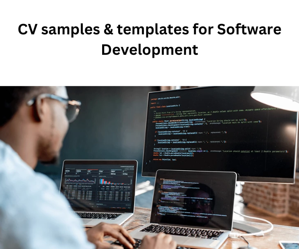 Software Development CV Samples and Templates | Remote4Africa